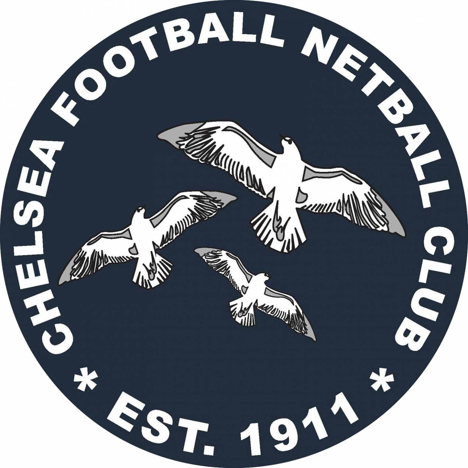 Chelsea Football Netball Club